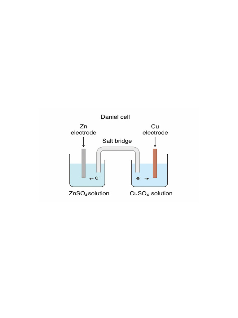 Daniel Cell: Structure and Function | PDF