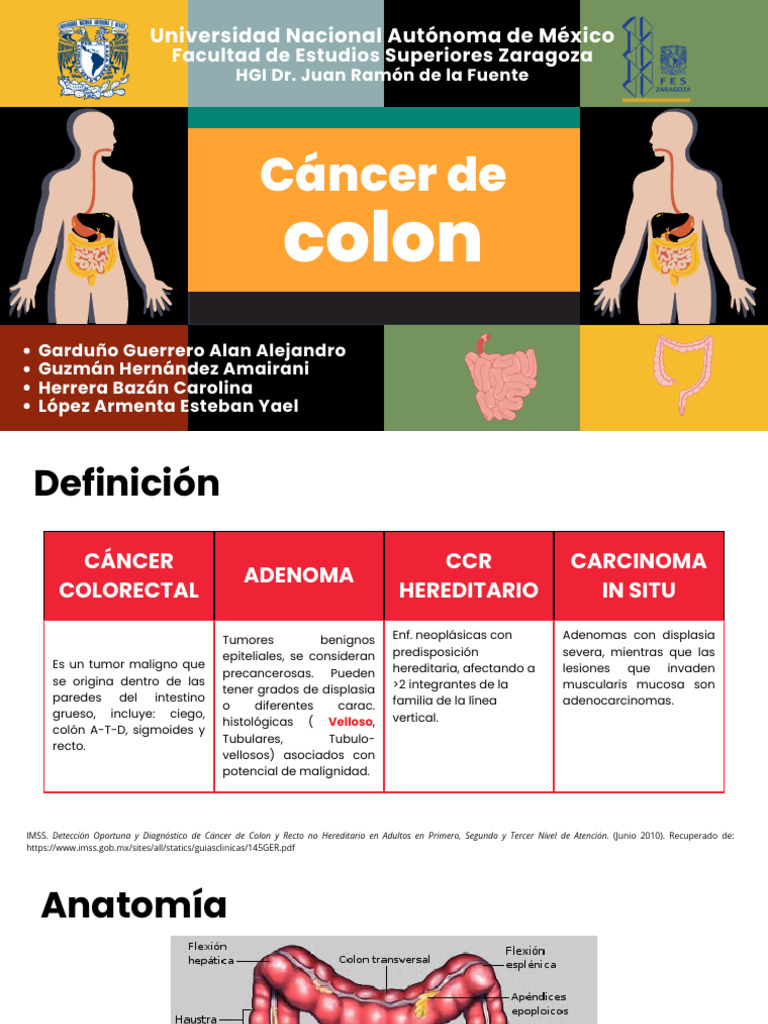Cáncer de Colon: Diagnóstico y Tratamiento | PDF | Cáncer colonrectal ...