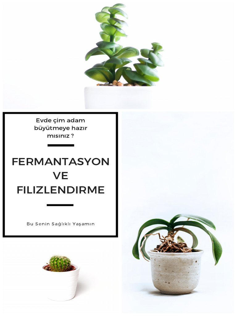 Fermantasyon & Filizlendirme | PDF