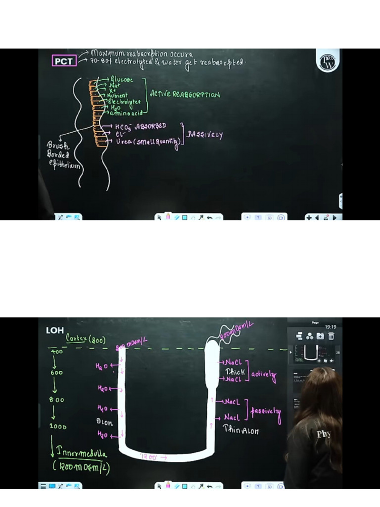 Biological Molecules | PDF