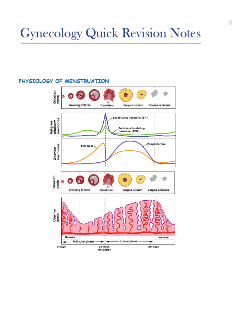 Gyne 2.0 Compressed | PDF | Puberty | Menstrual Cycle