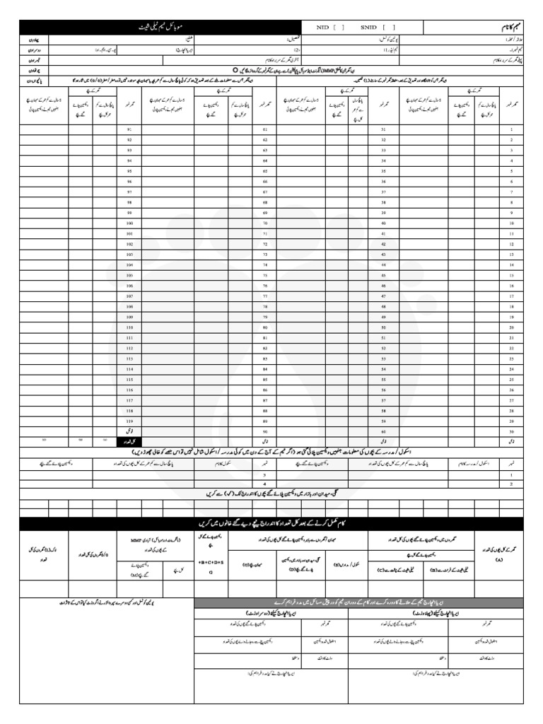 SIA 1-A (Mobile Team Tally Sheet) | PDF