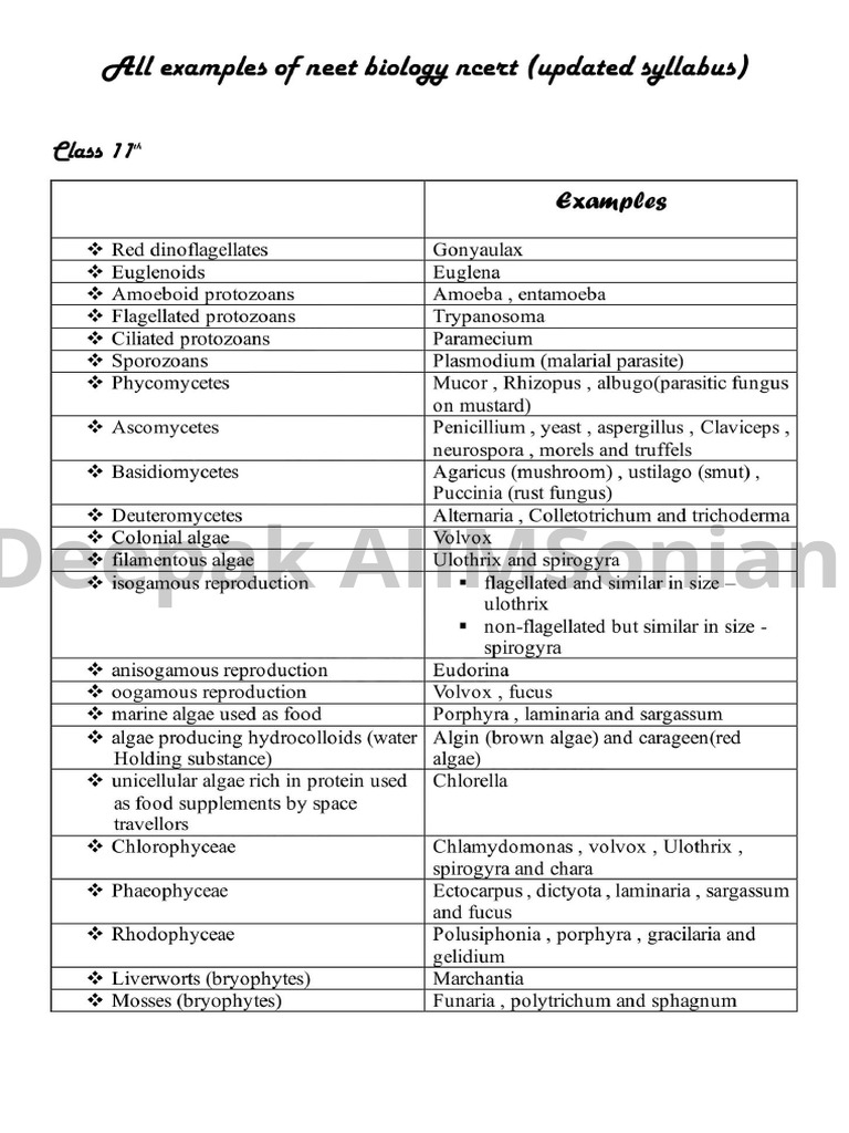 Ncert Biology All Examples 11th+12th | PDF