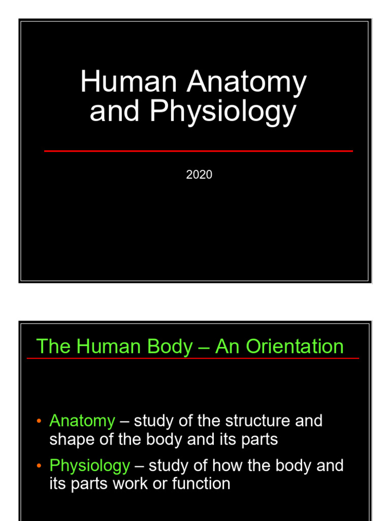 CHAPTER 1 - PPT - Overview of AnaPhysio | PDF | Human Body | Homeostasis