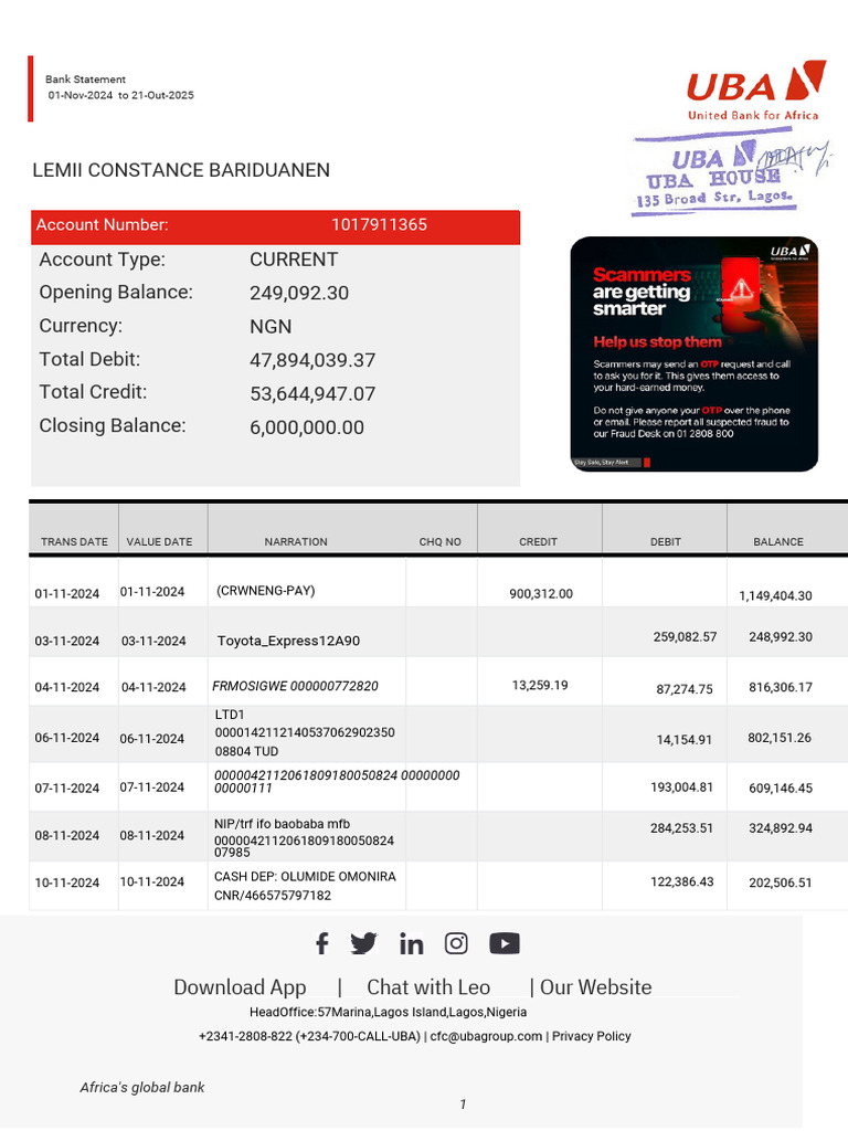 Bank Statement Summary: Nov 2024 - Jan 2025 | PDF | Banks | Debits And ...