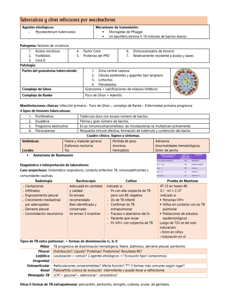 Enfermedades Transmisibles TB, Resfriado, Gripe y Tiña Versicolor | PDF ...