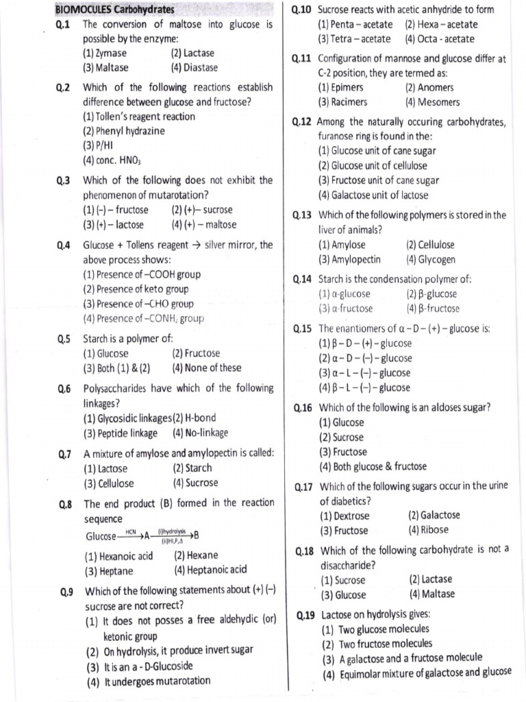 Worksheet Biomolecule - 1 | PDF | Nucleotides | Glucose