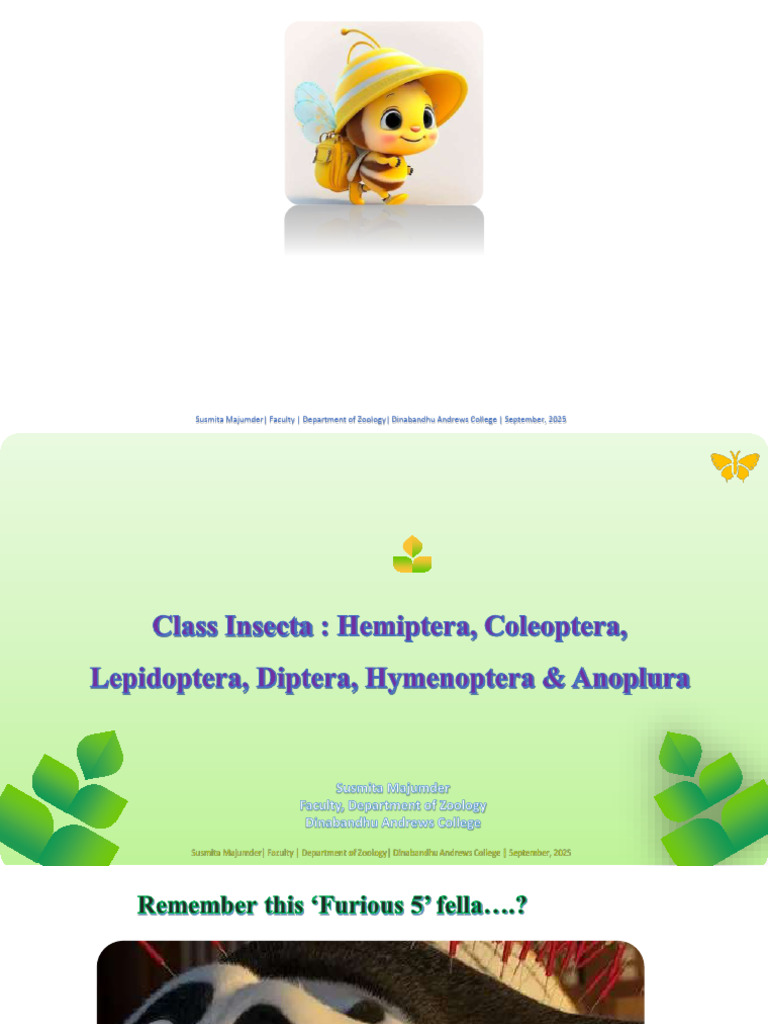 Class Insecta - Sec1 - Lecture II | PDF | Zoology | Hexapoda