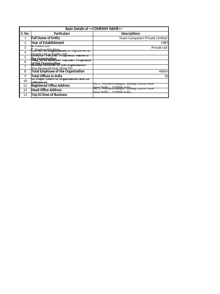 Team Computers Pvt Ltd Overview | PDF