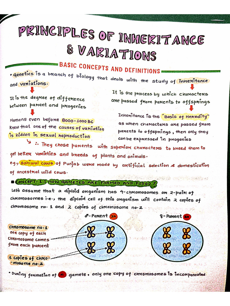 SplitPDFFile 1 To 5 | PDF