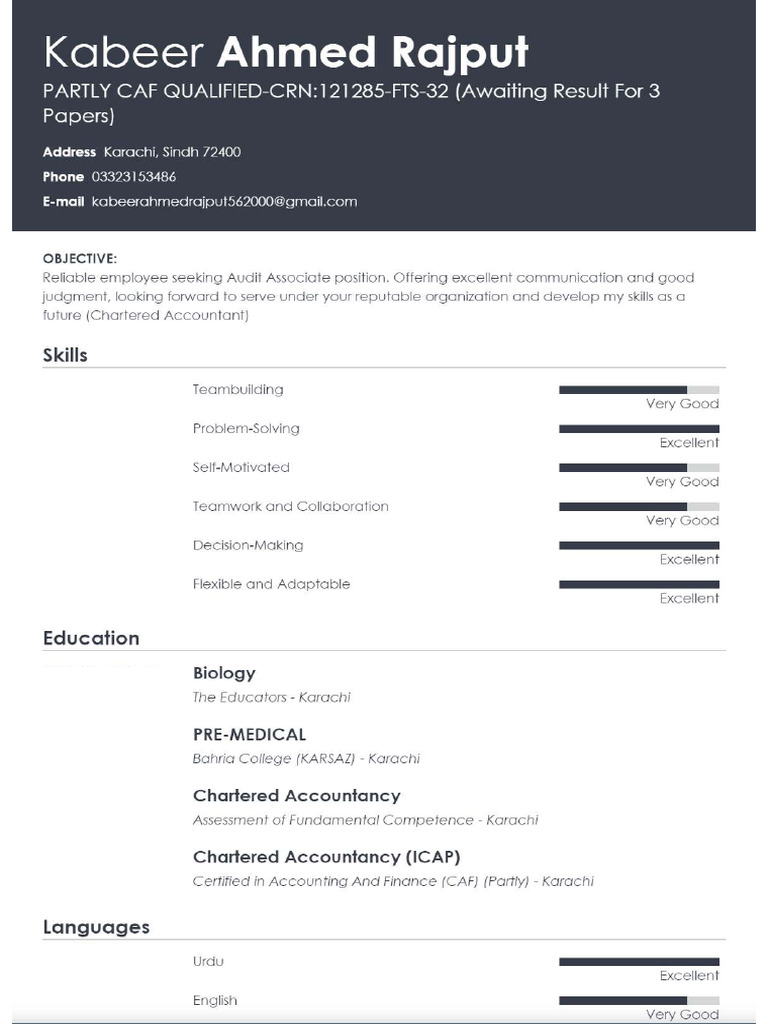 Kabeer CV | PDF