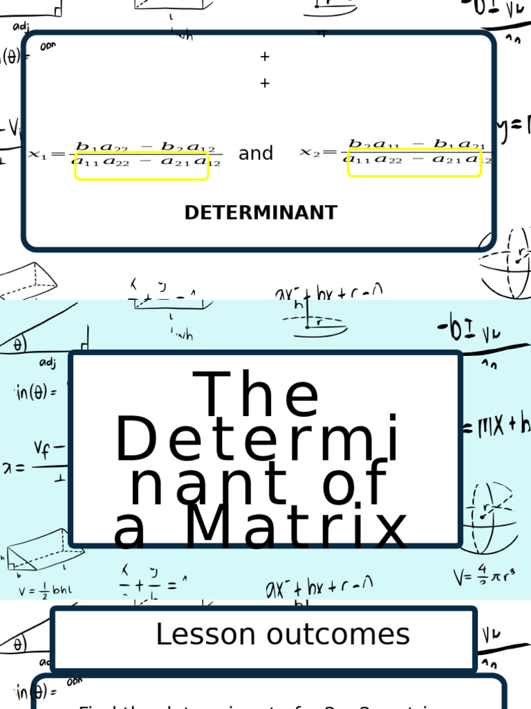 Lesson 8 - The Determinant of A Matrix | PDF