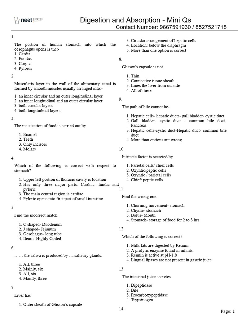 Human Digestive System Quiz Questions | PDF | Stomach | Digestion