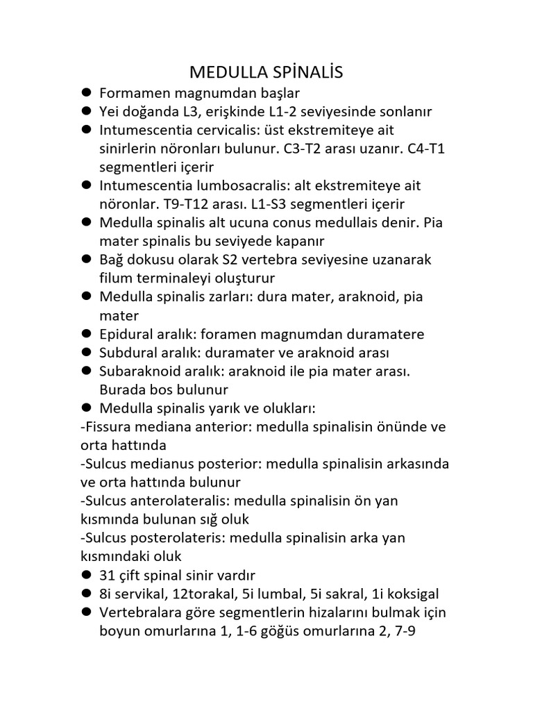 Medulla Spi̇nali̇s | PDF