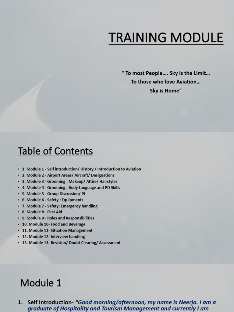 Aviation Training Module Overview | PDF | Flight Attendant | Airport