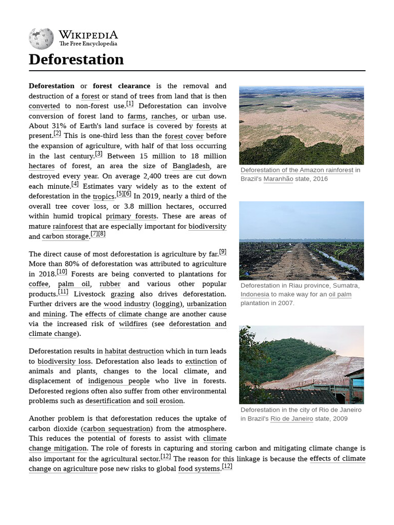 Deforestation Pdf Deforestation Carbon Sequestration
