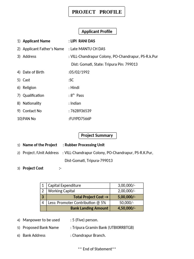 Project Profile | PDF