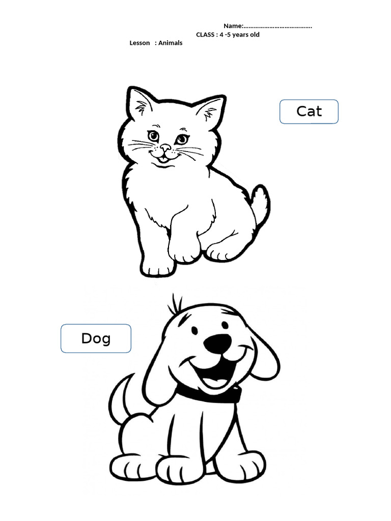 Lesson 18 Animals | PDF