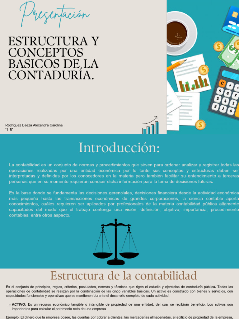 Estructura, Conceptos Básicos Conta | PDF | Contabilidad | Business