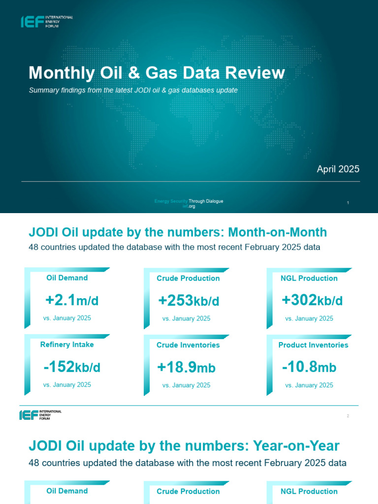 February 2025 Oil & Gas Data Insights | PDF | Natural Gas | Chemical ...