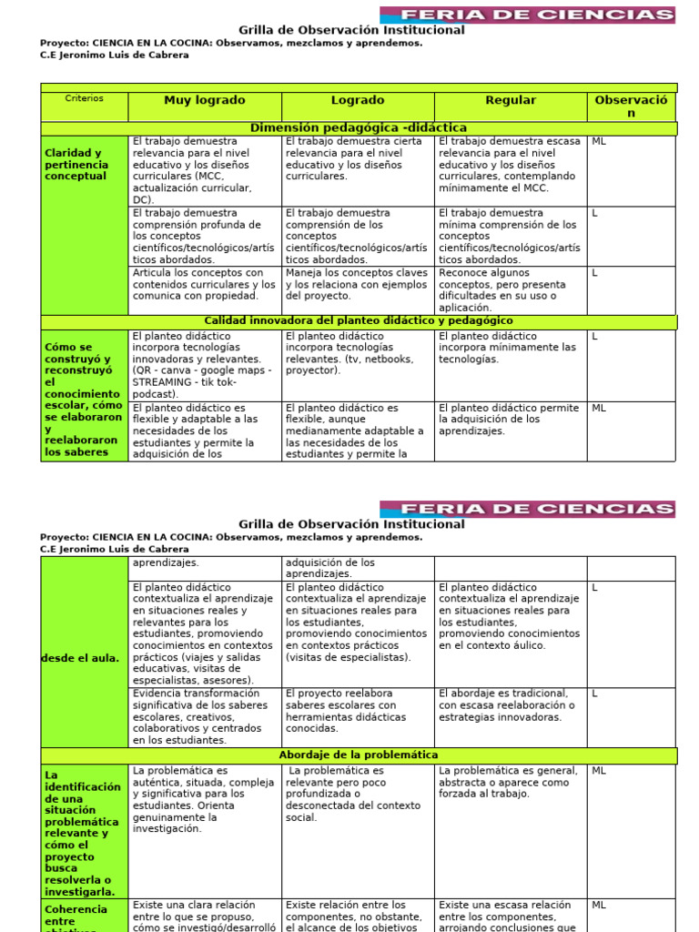 Grilla de Observación del Proyecto Educativo | PDF | Plan de estudios ...