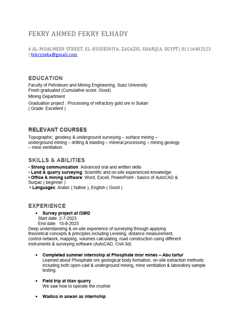Fekry (CV) | PDF