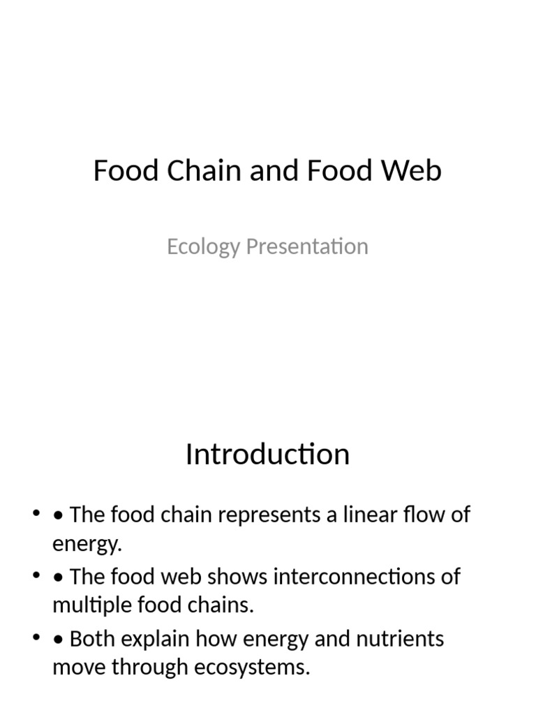 Food Chain and Food Web Presentation | PDF