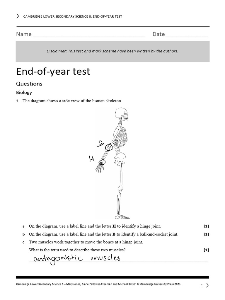 Cambridge Science 8 End-Year Test | PDF | Magnesium | Acid