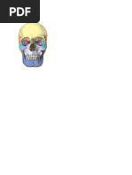 Towne's Skull Positioning Guide | PDF | Human Anatomy | Skull