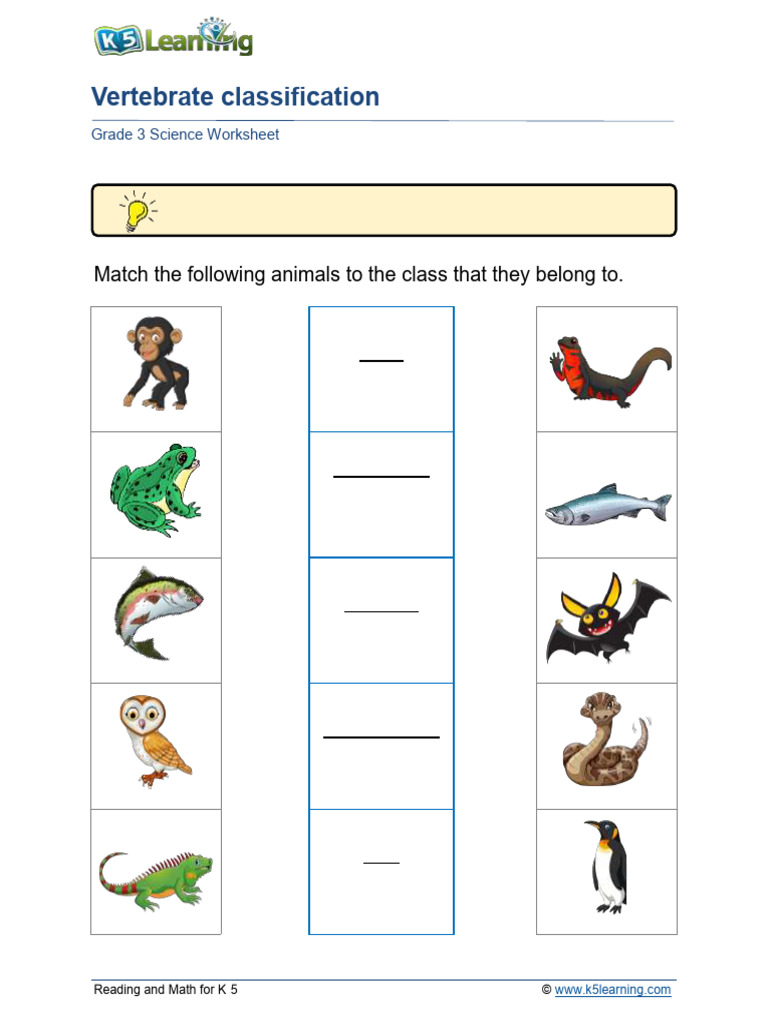 Vertebrate Classification Worksheet 1 | PDF