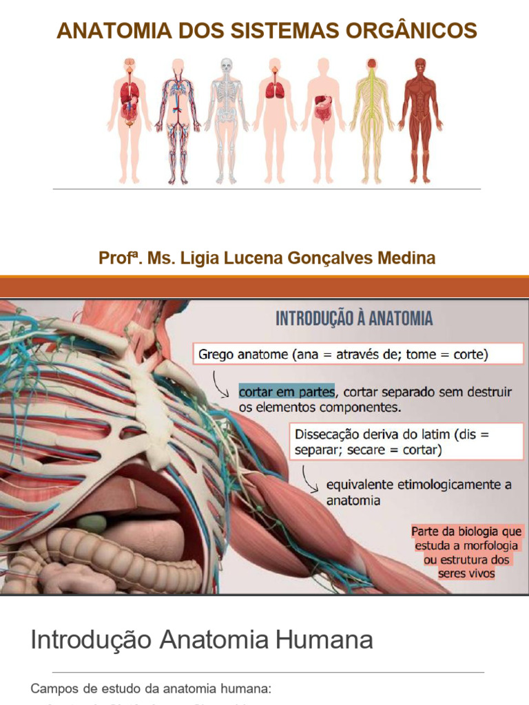 Aula 1 - Conceitos B Sicos e Tica Na Anatomia-4 | PDF | Anatomia | Corpo humano