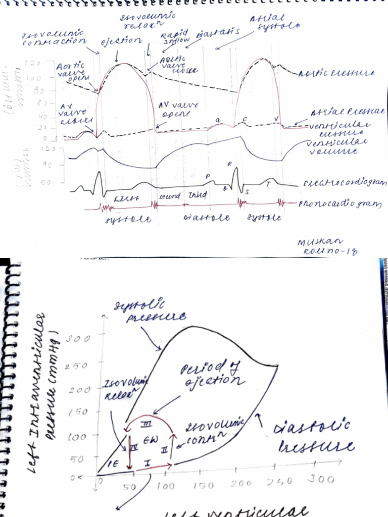 Cardiac Cycle Assignment | PDF