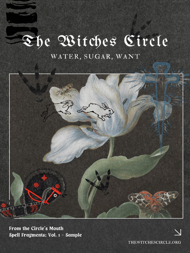 Witches Circle Zine - Sampler | PDF