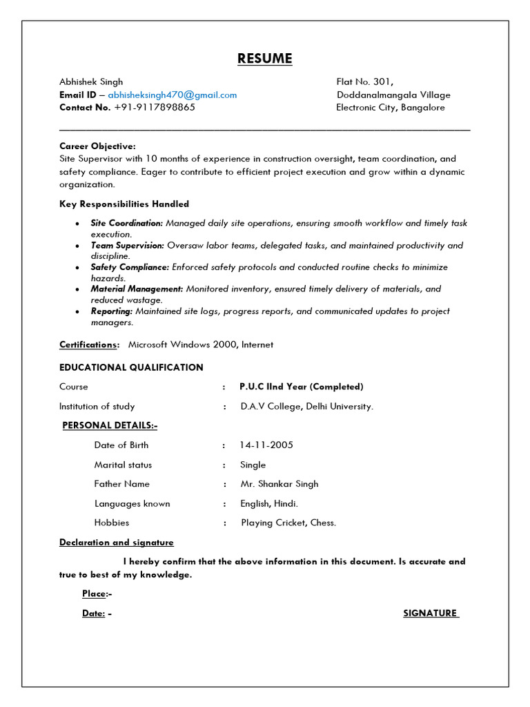 RESUME Abhishek | PDF