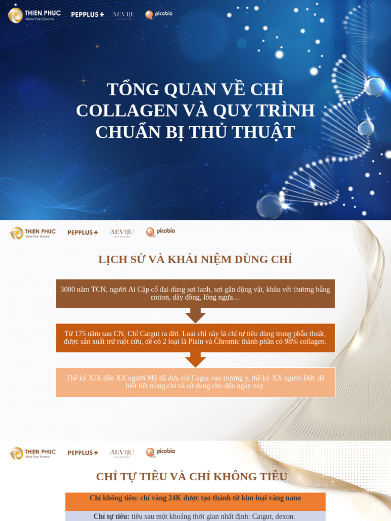 T NG Quan | PDF