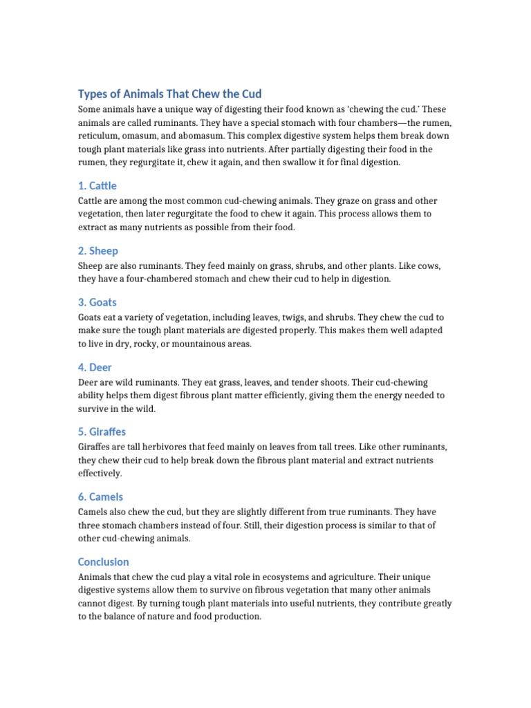 Types of Animals That Chew The Cud | PDF
