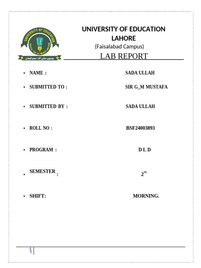 ALU and Op-Amp Lab Report Summary | PDF | Operational Amplifier | Amplifier