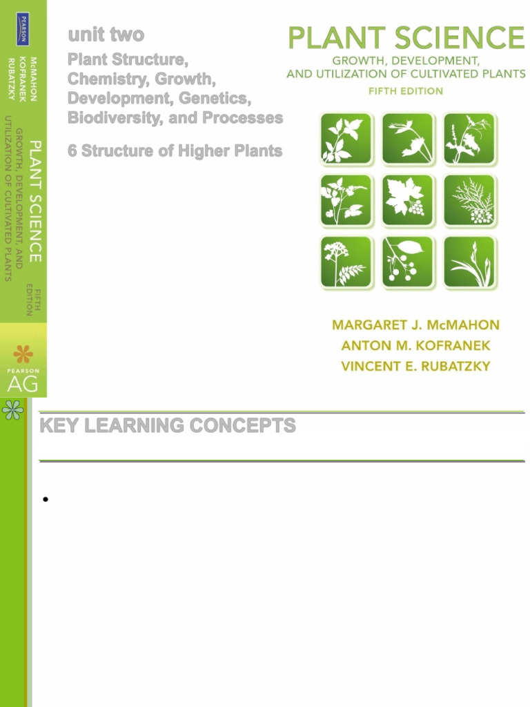 03b Plant Stucture Plant Organs | PDF | Plant Stem | Fruit