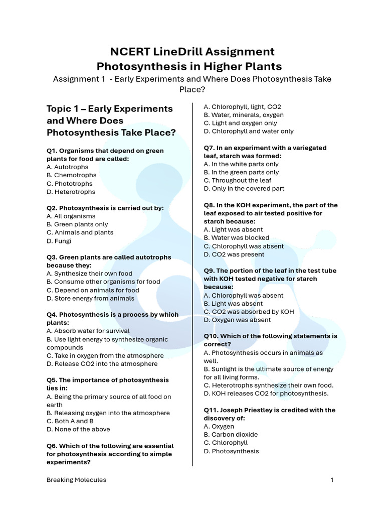 NCERT LineDrill Assignment 1 Photosynthesis in Higher Plants | PDF ...
