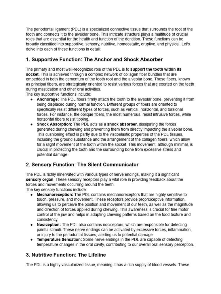 Prepare Me A Long Answer On Functions of Periodont... | PDF | Human ...