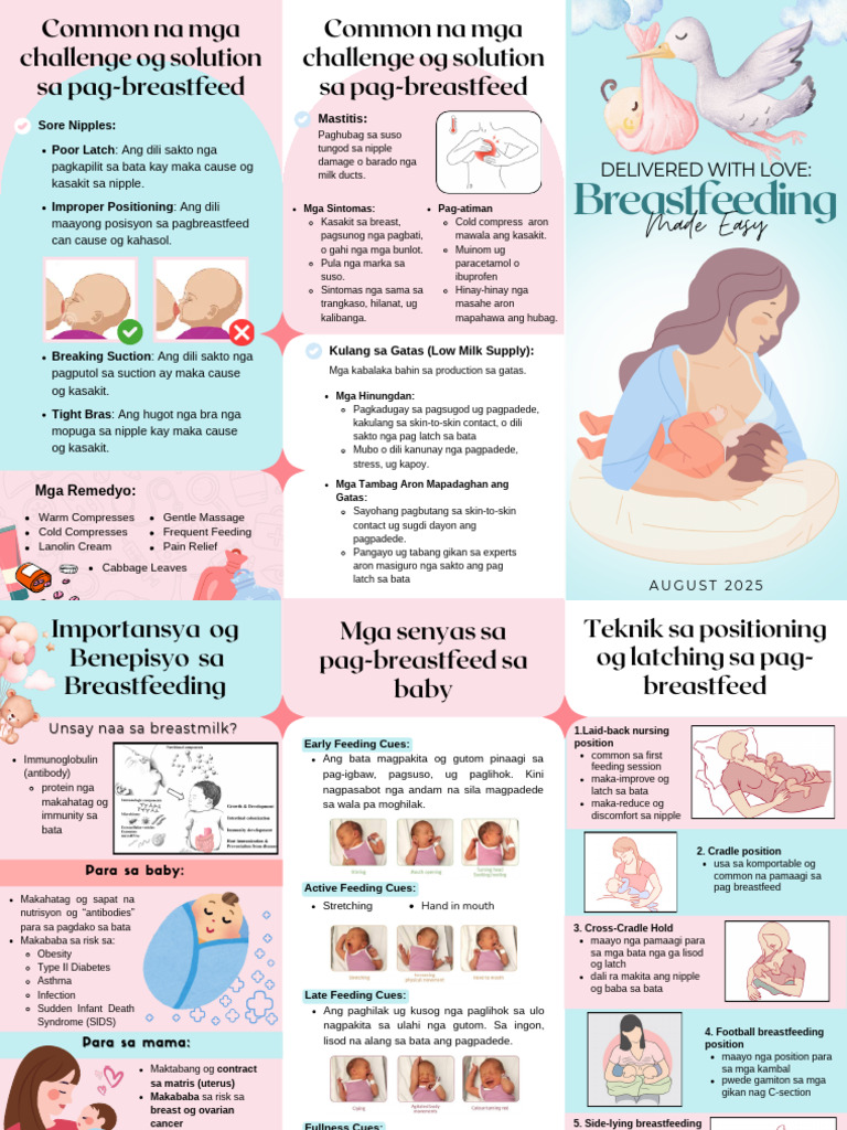 Breastfeeding Brochure | PDF