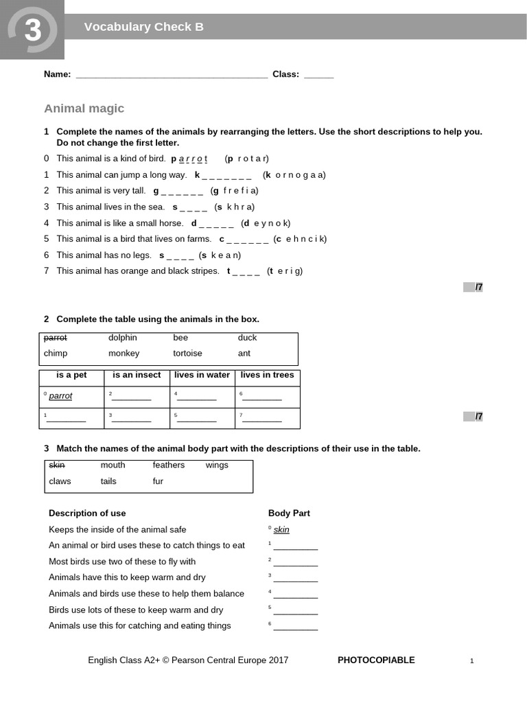 Animal Vocabulary Quiz for Kids | PDF | Zoology | Birds
