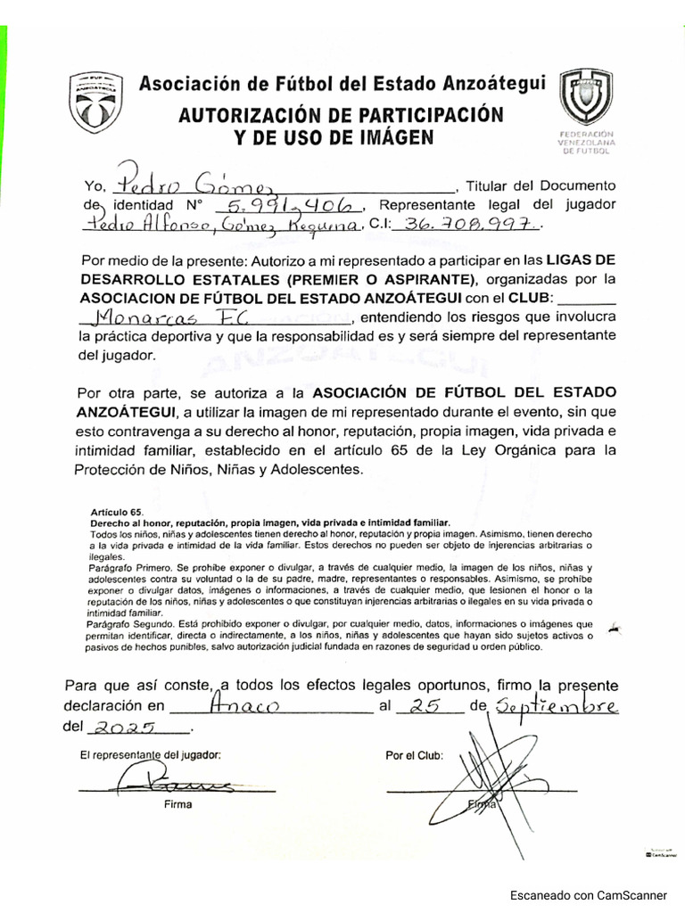 Pedro Gómez | PDF