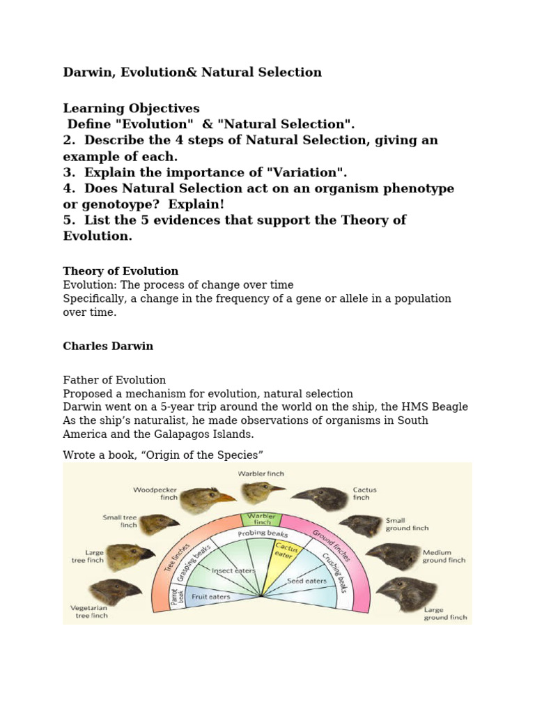 Darwin's Theory of Evolution Explained | PDF | Natural Selection ...