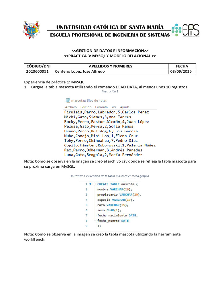 Gestion de Datos e Informacion - MYSQL y Modelo Relacional | PDF | Mi sql | Bases de datos