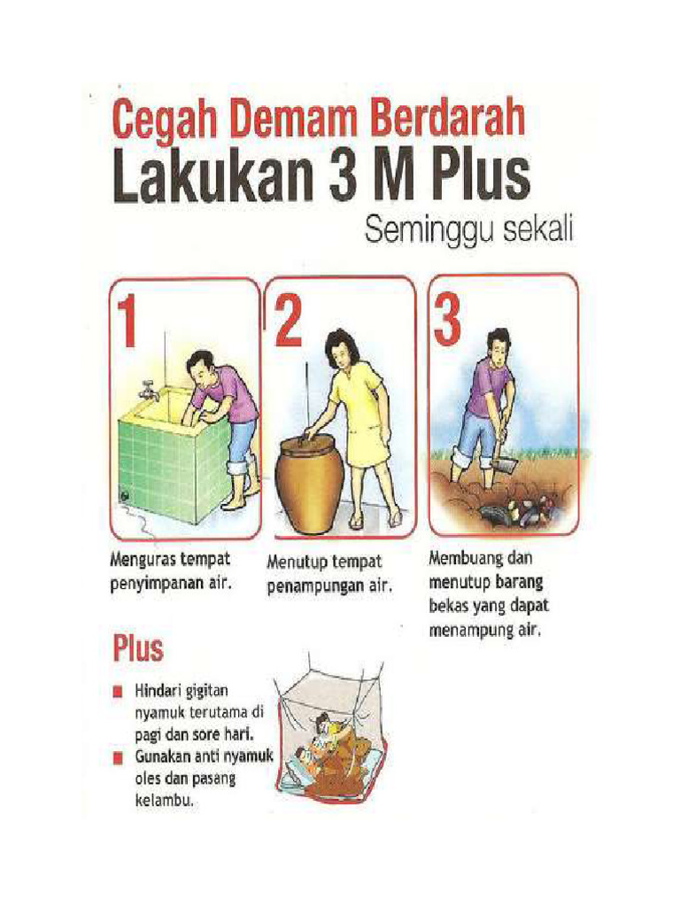 Liflet 8 | PDF