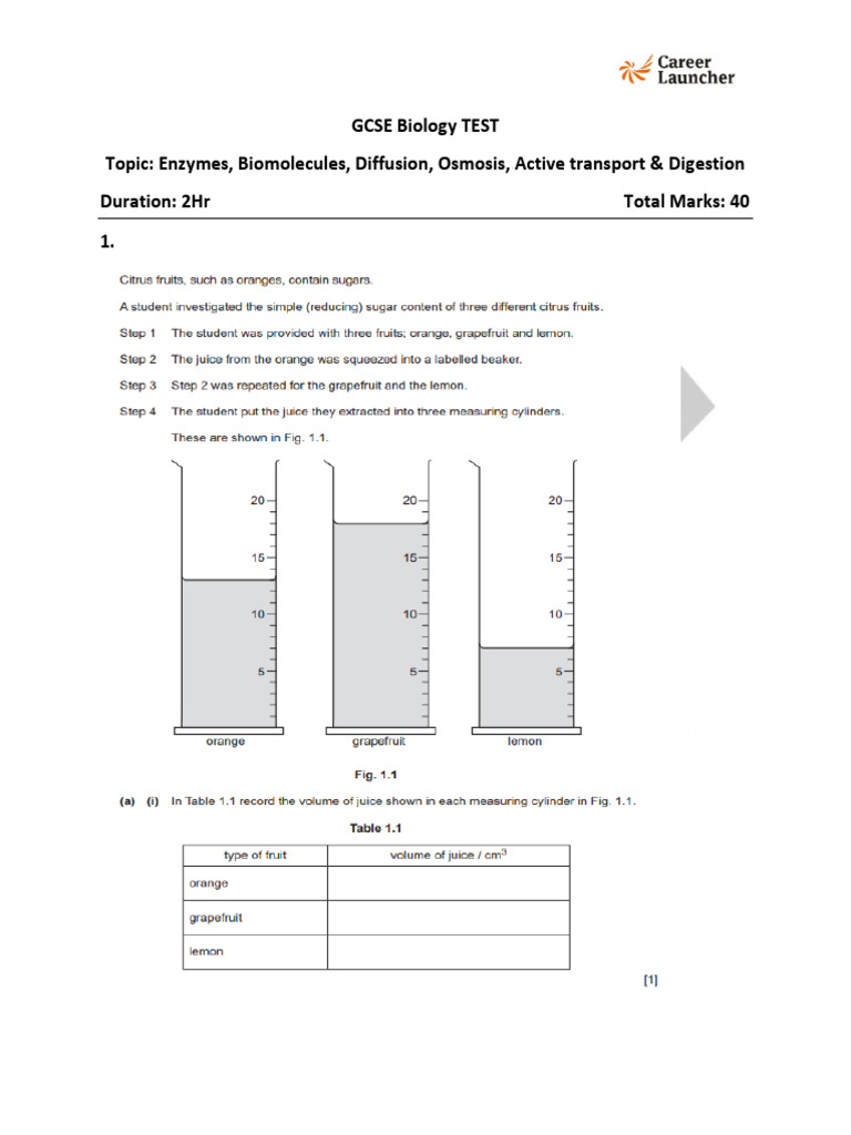 IGCSE TEST - Enzymes, Biomolecules, Movt in & Out, Digestion | PDF