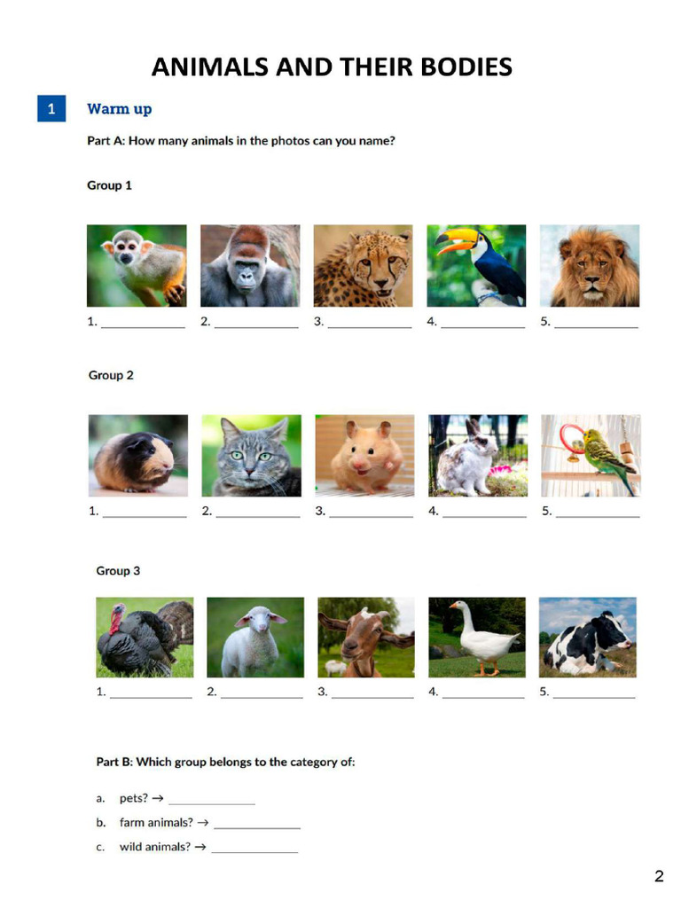 Animals 1 | PDF