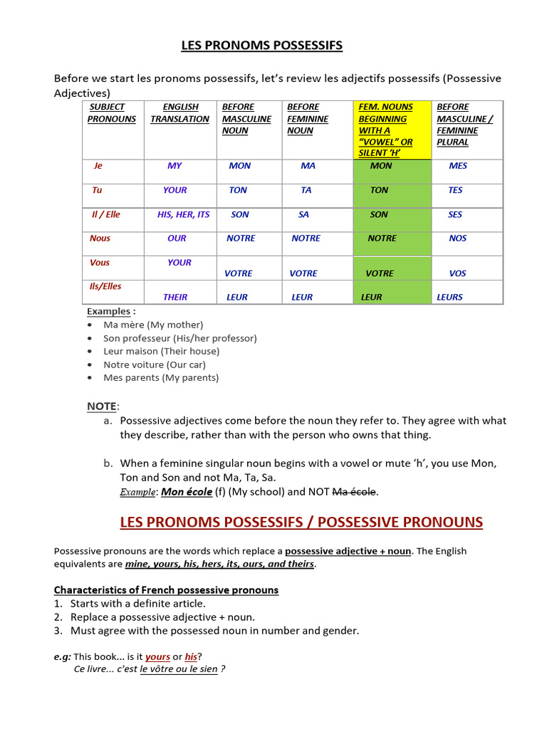 Les pronoms possessifs en français | PDF