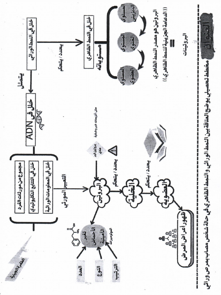 Scii | PDF